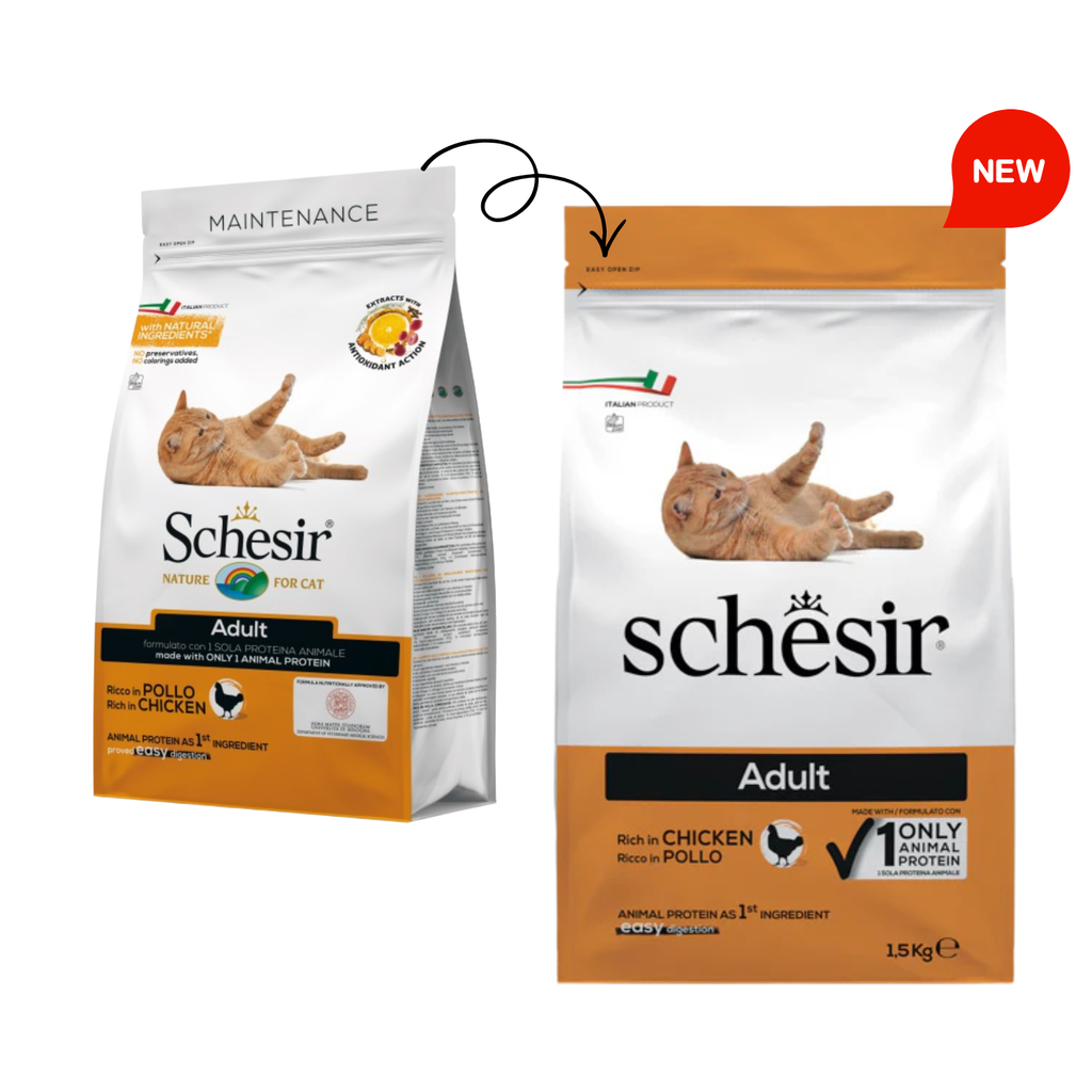 Schesir Cat Dry Food Maintenance with Chicken-Adult[Weight - 1.5kg ...